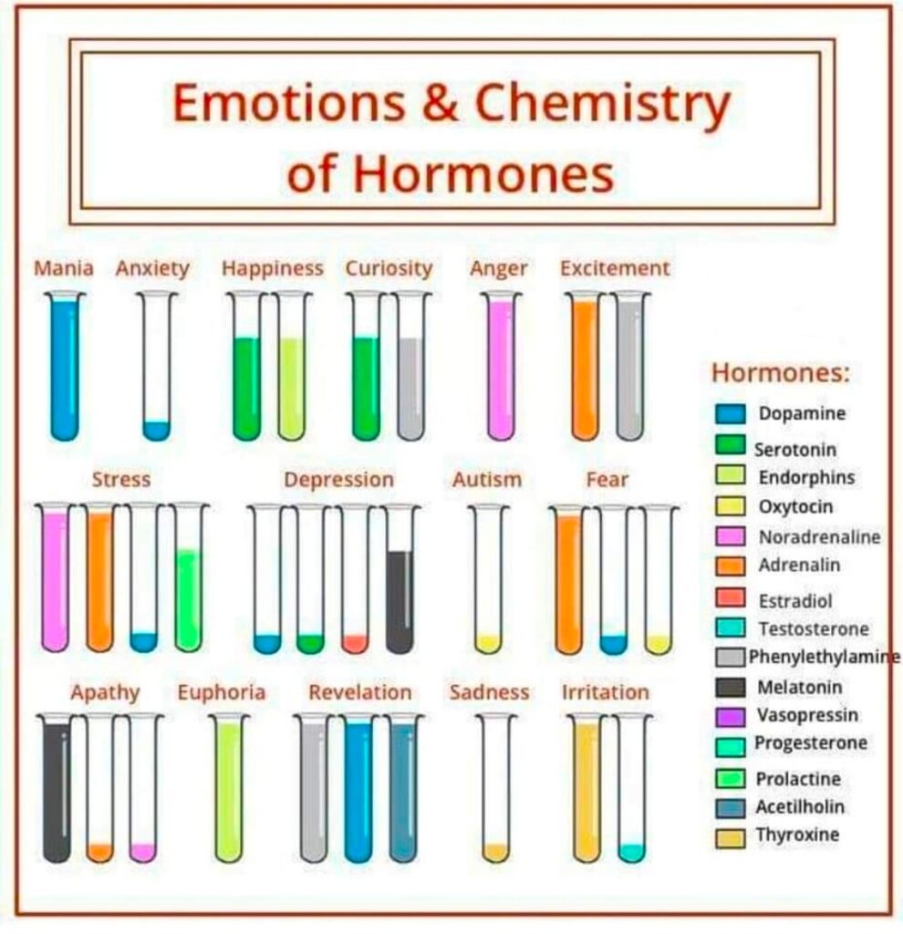 ROH Menurut SAINS. - ForSains