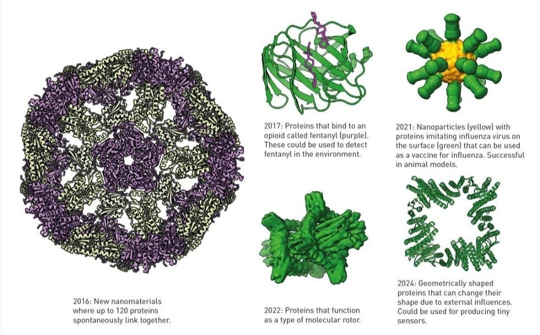PROTEIN, Memahami Bentuk Dan Fungsinya - ForSains
